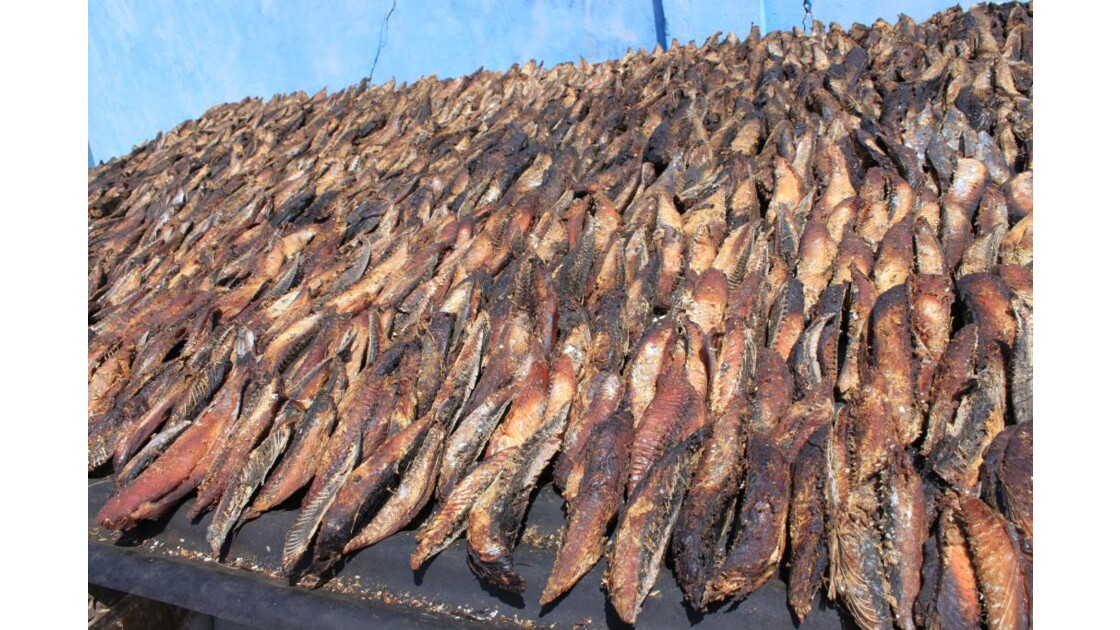 Poisson séché, - Geo.fr