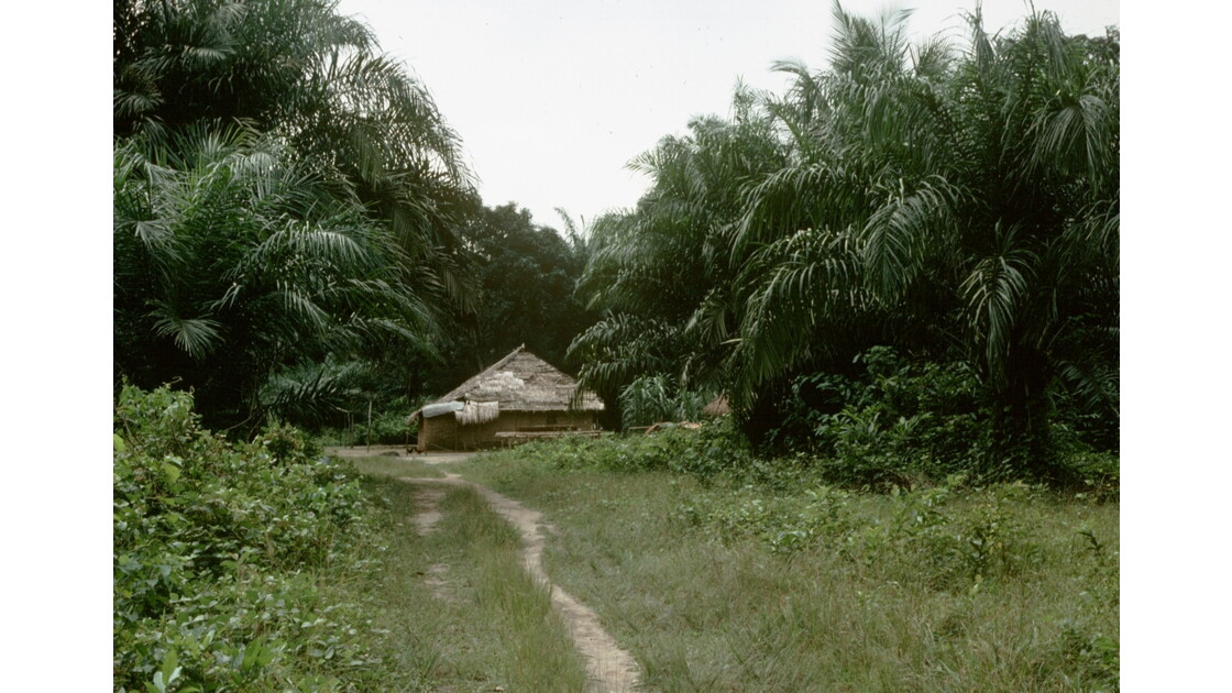 Congo 70 Likouala village au bord de l'Oubangui 4,... - Geo.fr