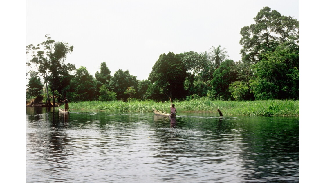 Congo 70 Likouala Sur la Motaba 7, Avec plus de de... - Geo.fr