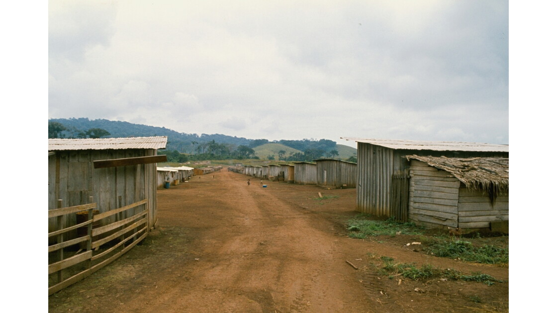 Congo 70 Entre Makabana et Titi Camp Foralac 3, Les... - Geo.fr