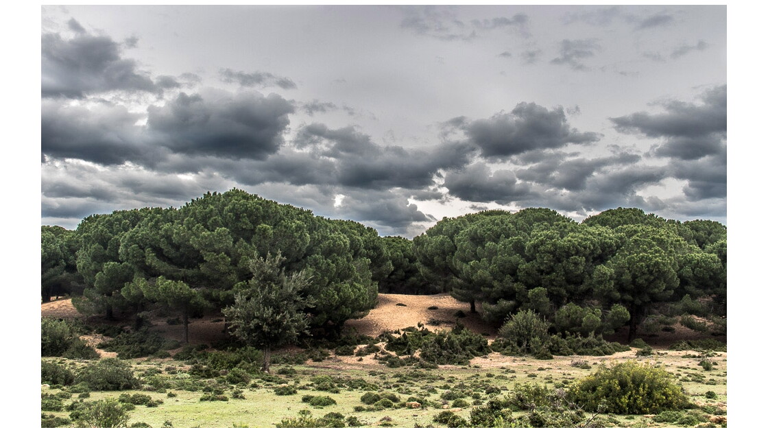 Le Cap Serrat, Le cap Serrat (arabe : رأس سيراط) est... - Geo.fr