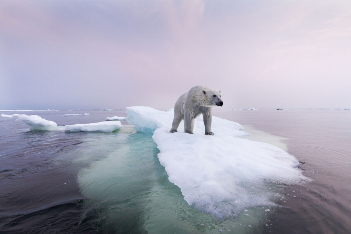 10 photos qui révèlent le visage du changement climatique - GEO