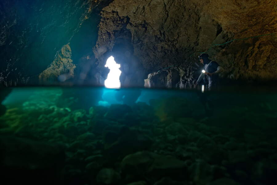 Le phoque moine, un animal méconnu des eaux méditeranéennes - GEO