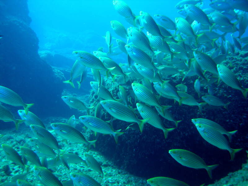 Nos 10 incontournables à Cassis - GEO