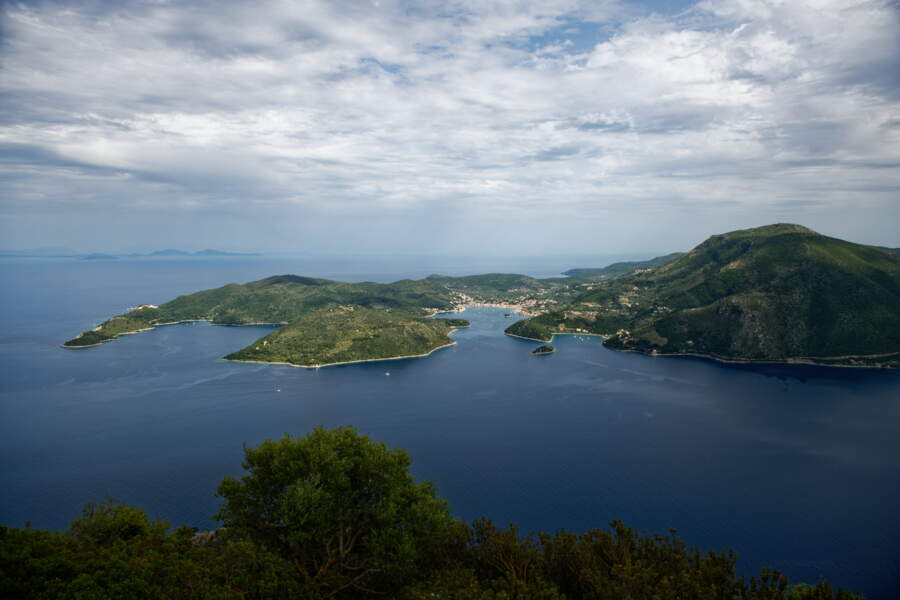 Le phoque moine, un animal méconnu des eaux méditeranéennes - GEO