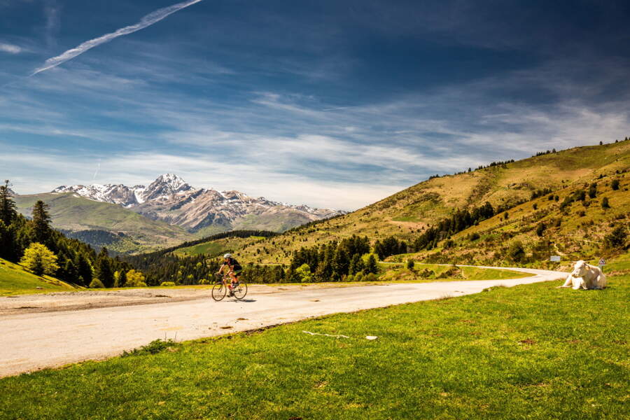 Les Pyrénées en majesté : pics enneigés, bastides flamboyantes, pays ...