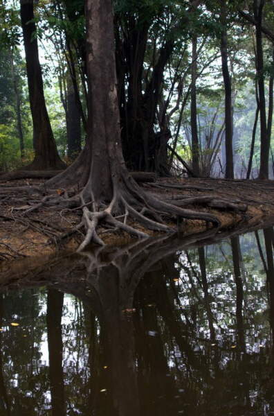 Voyage au fil de l'Amazone : les plus belles photos de la Communauté ...