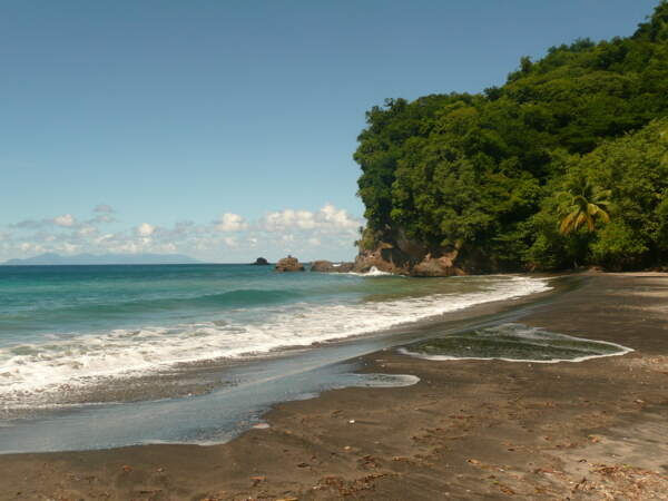 Les plus belles plages de Martinique - GEO