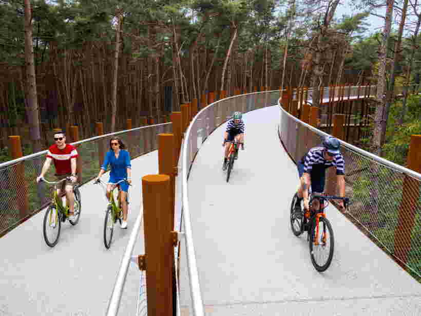 Belgique : une piste cyclable pour "pédaler dans les arbres" au beau ...