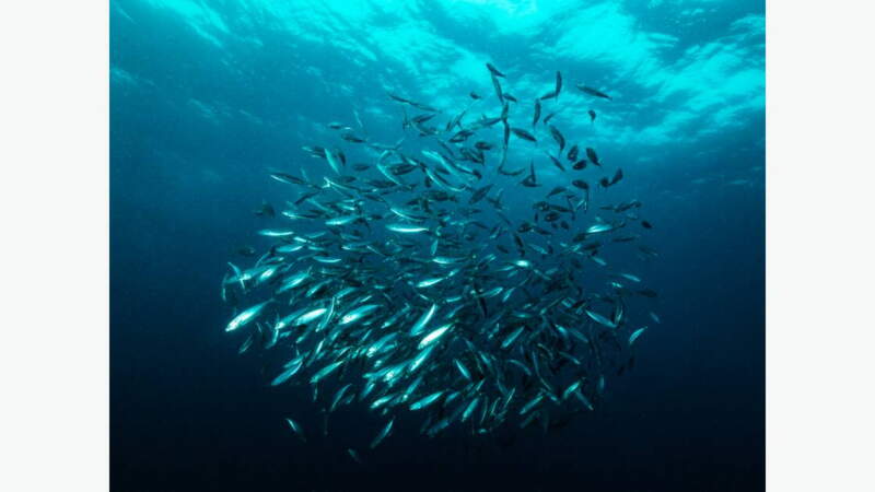 Les plus belles photos du Mexique par la Communauté GEO - GEO