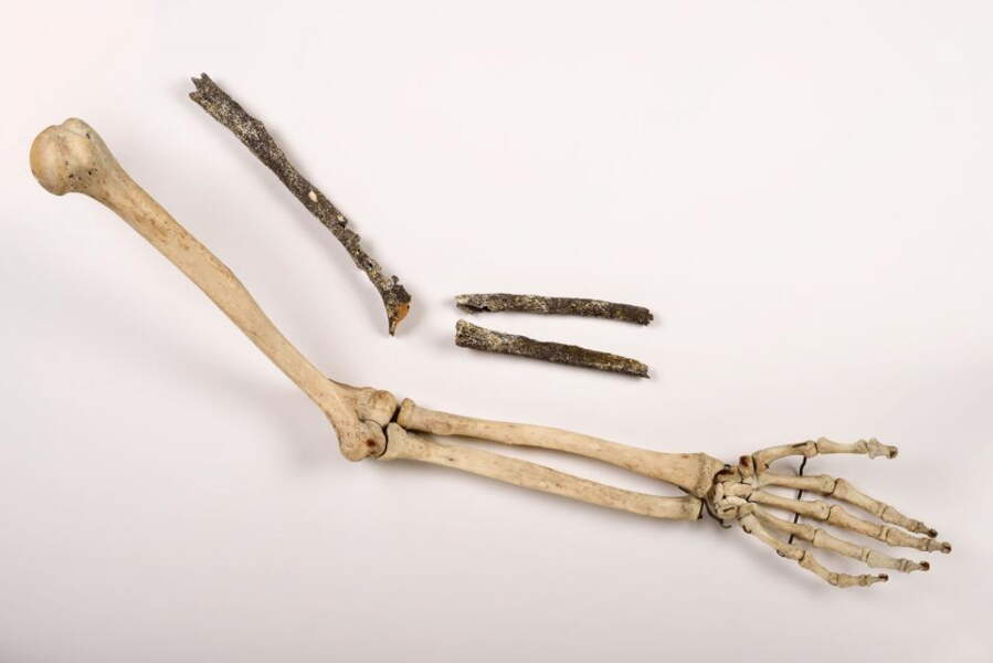 10 des plus belles découvertes réalisées par les archéologues - GEO