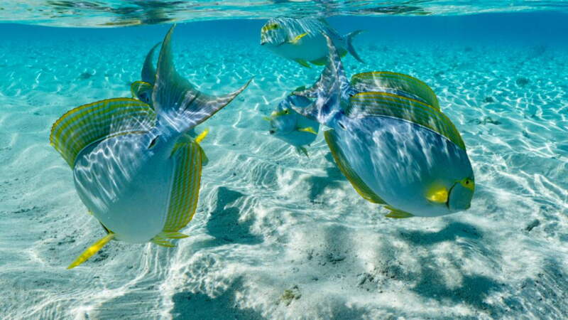 Les plus belles photos du lagon de Mayotte par la Communauté GEO - GEO