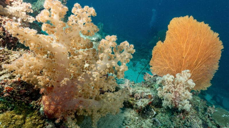 Les plus belles photos du lagon de Mayotte par la Communauté GEO - GEO