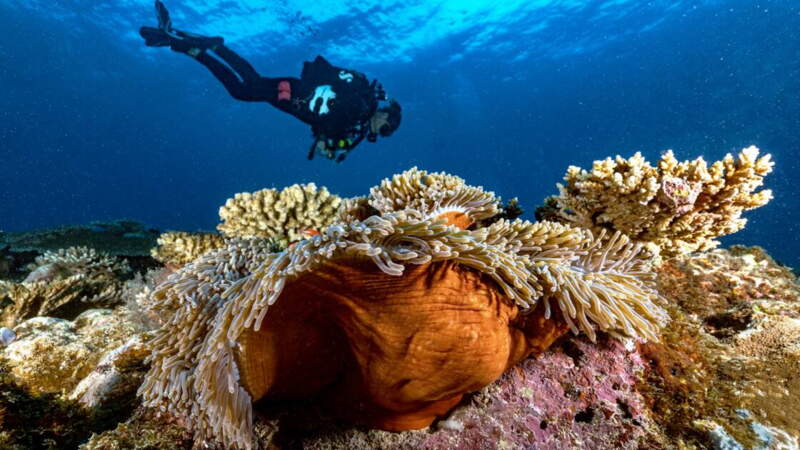 Les plus belles photos du lagon de Mayotte par la Communauté GEO - GEO