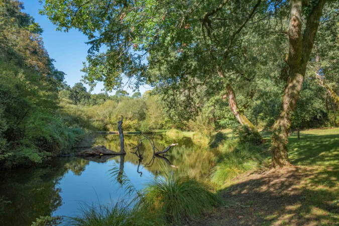 7ème étape du Tour de France : les plus belles photos de Mont-de-Marsan ...