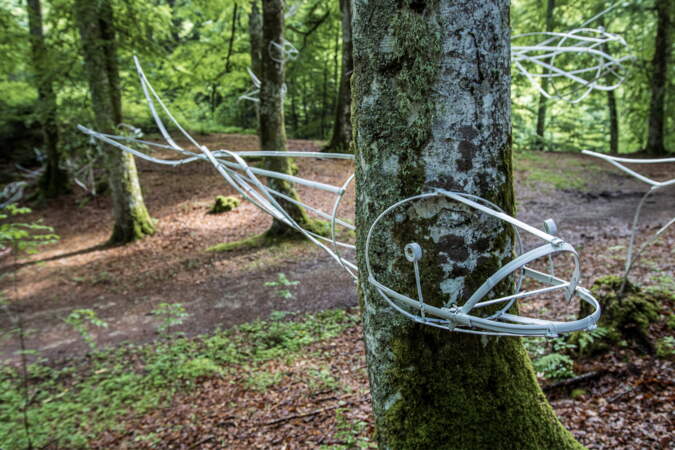 Les plus belles photos de l'exposition Horizons Sancy Art Nature 2023 ...