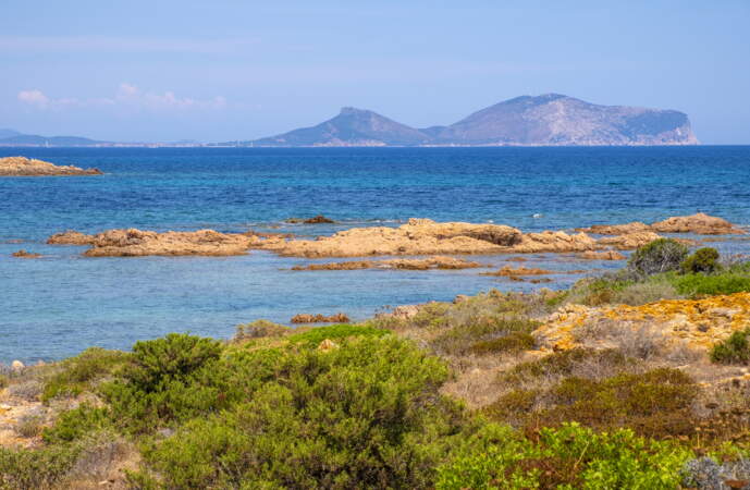 Les plus belles photos de Figari, bijou de la Corse - GEO