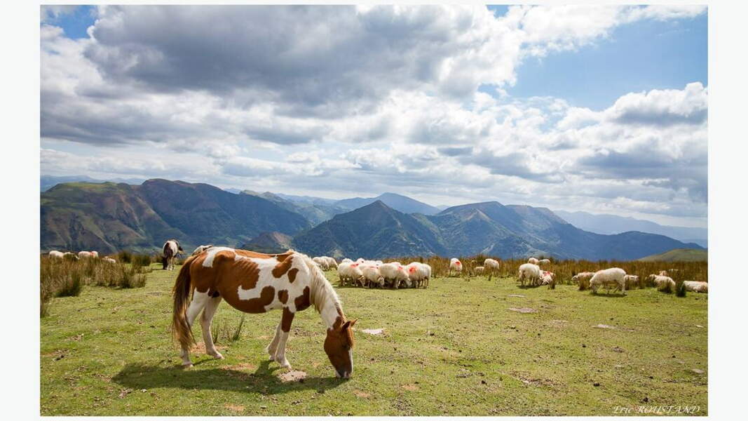 Pays basque : les plus belles photos de la Communauté GEO - GEO