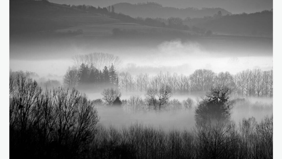"La nature en noir et blanc" : les plus belles photos de la Communauté ...