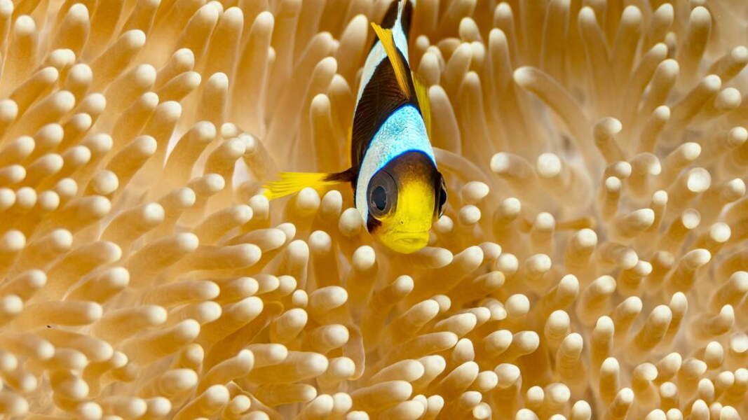 Les plus belles photos du lagon de Mayotte par la Communauté GEO - GEO