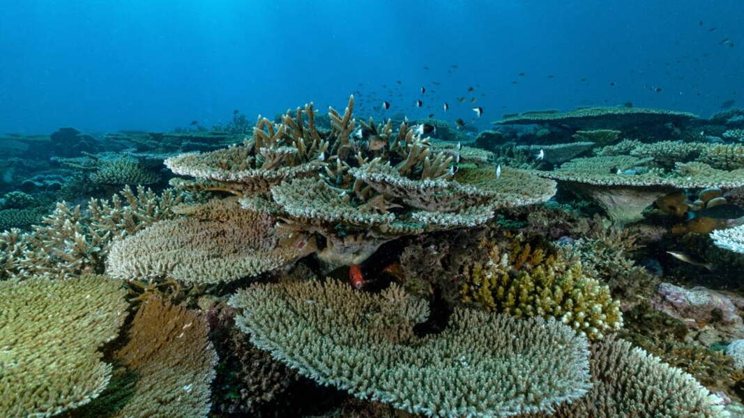 Les plus belles photos du lagon de Mayotte par la Communauté GEO - GEO