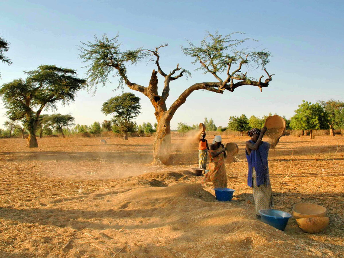 Faoye, au coeur d'un village sénégalais - GEO